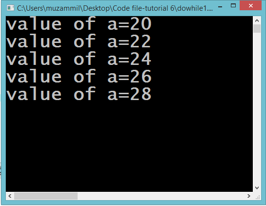 Do While Loops Sourcecodester